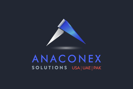 About - AnaConEx IT Solutions